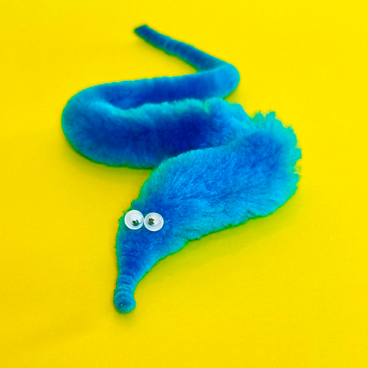 Magic Wonder Worms – EvanEraTV Laugh@Life Shop