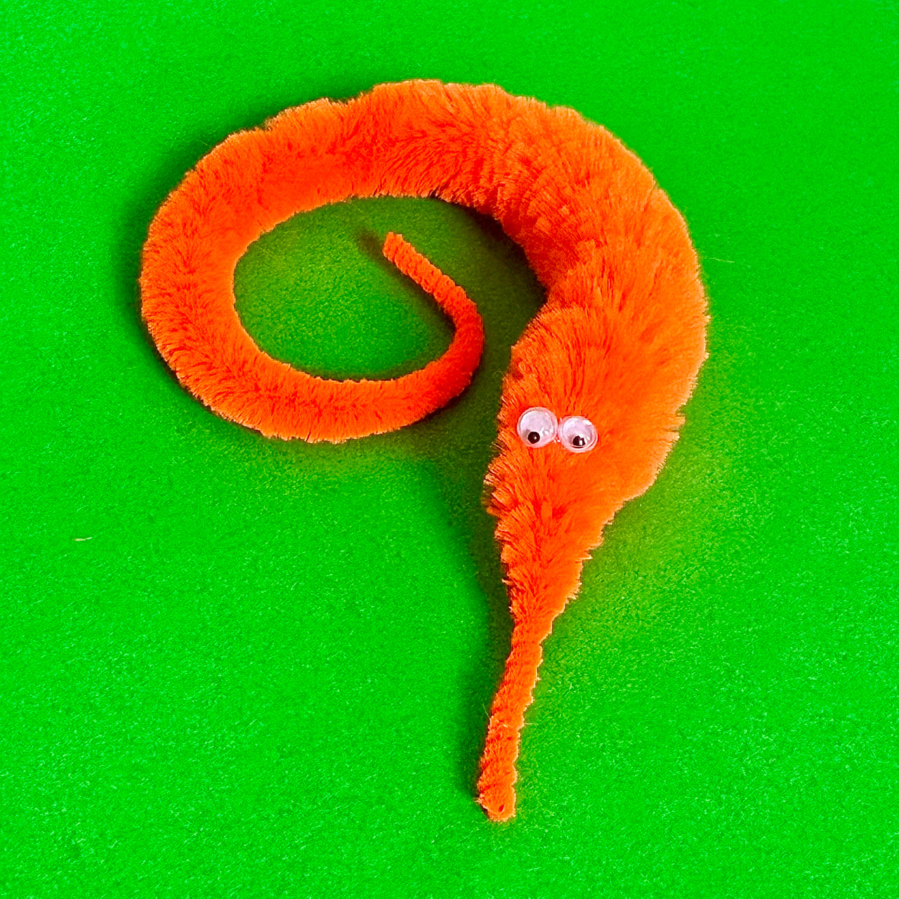 Magic Wonder Worms – EvanEraTV Laugh@Life Shop